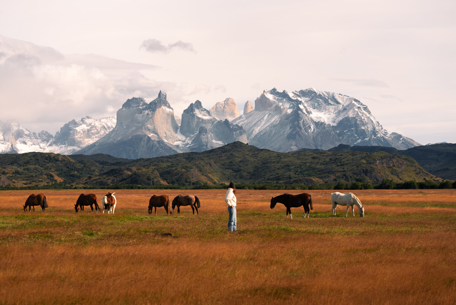 Visiter Torres del Paine : au coeur de la patagonie chilienne
